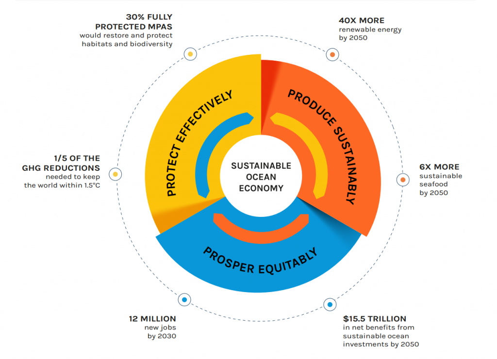 A day to remember for sustainable ocean management | Strategic Innovation