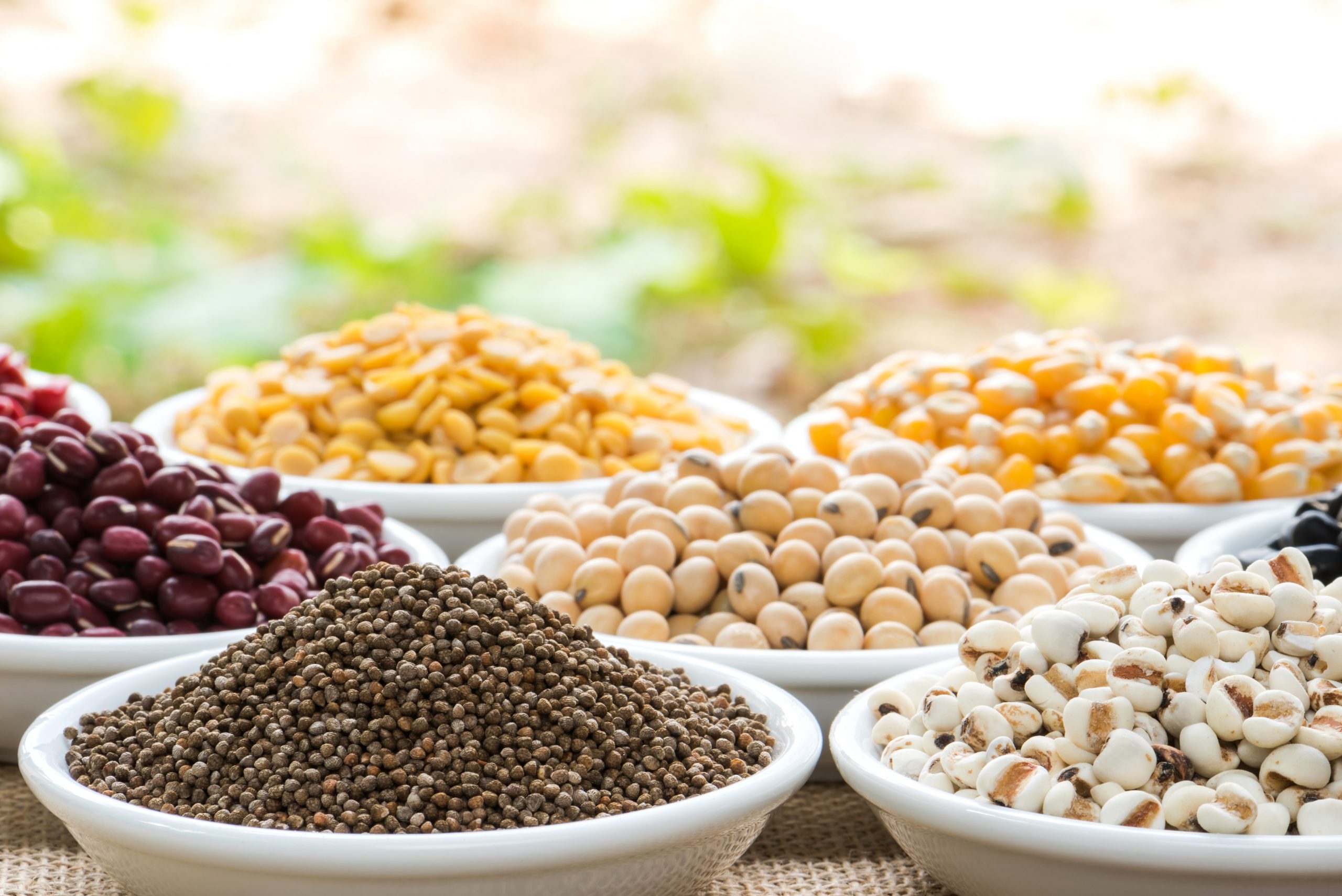 Case Study: Better Chicken